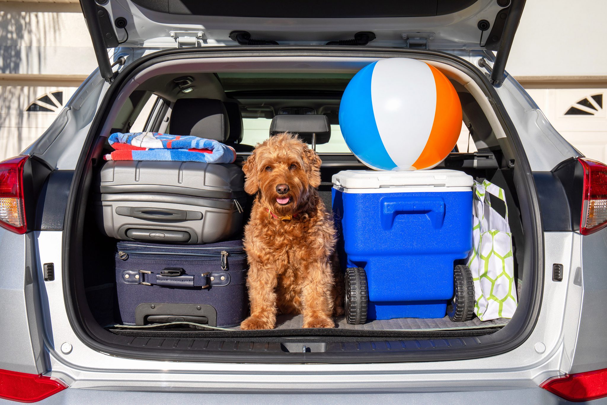 Road Trip Ready: Prepping Your Ride for Summer Miles - Sweet Home ...